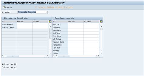 SCMO SAP Tcode Schedule Manager Monitor