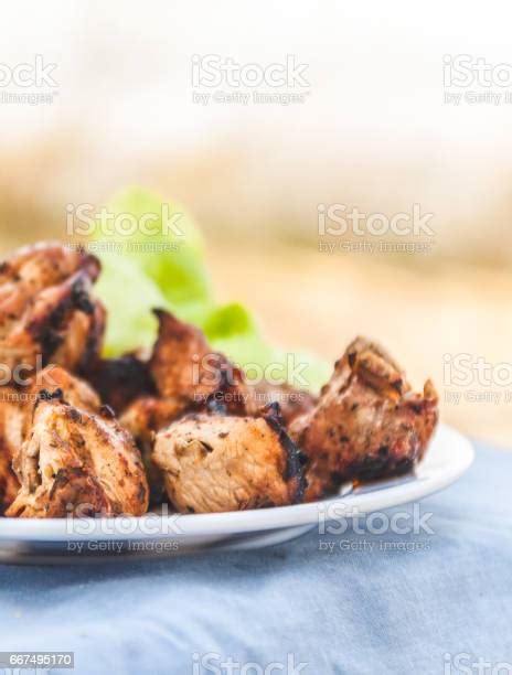 그린 샐러드와 함께 흰색 접시에 고기 Shish 케밥의 조각 가금류에 대한 스톡 사진 및 기타 이미지 가금류 건강한 식생활