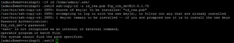 Linux Command To Copy Client Public Key To Windows Openssh Sftpssh