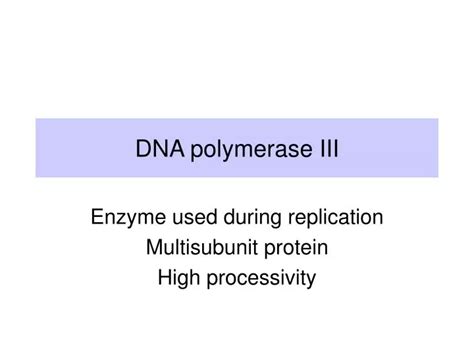 Ppt Dna Polymerase Iii Powerpoint Presentation Free Download Id
