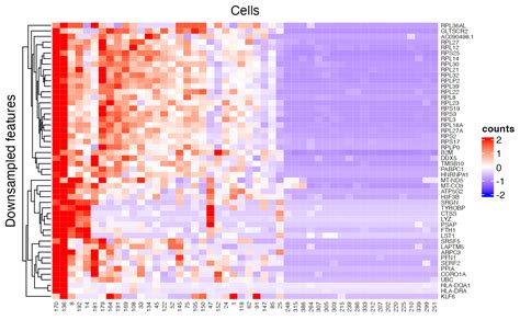 Heatmap Visualization • Singlecelltk