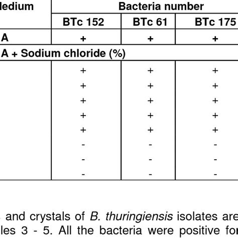 Growth Characteristics Of B Thuringiensis Isolates And Standard