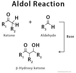Molisch S Test Definition Reaction Reagent And Procedure