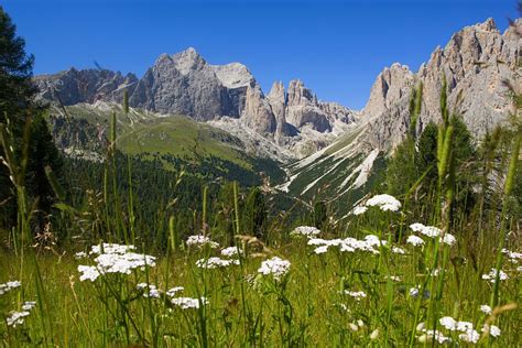 Radfahren Im Val Di Fassa Willya