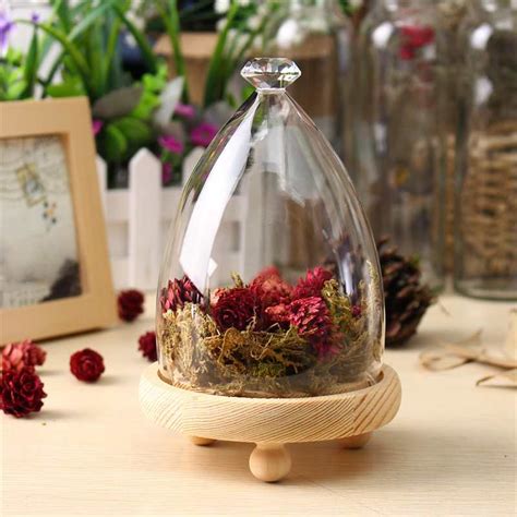 Kiwarm Glass Display Cloche Bell Jar Dome Flower I Grandado
