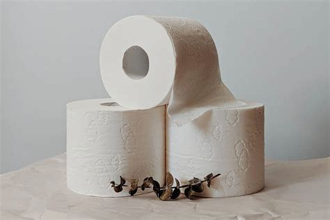 Why Should You Switch To Hemp Toilet Paper Green Coast