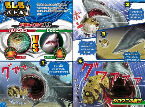 西東社『戦う水中生物大百科』 最強水王決定戦 本 アマナとひらく「自然・科学」のトビラ Nature ＆ Science