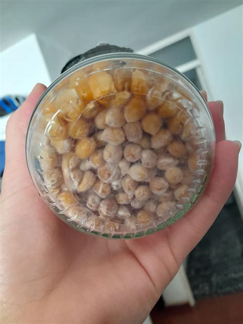 [actives] [contamination] This Is Contamination With Trichoderma R