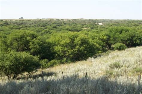 Convocan A Productores Para Intentar Salvar El Proyecto Del Parque