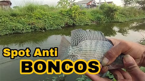 SPOT LUMUTAN ANTI BONCOS MEMEL MANCING YouTube
