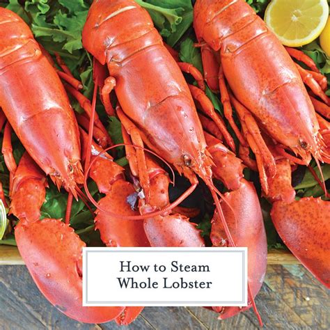 How to humanely kill a live lobster, how to steam lobster, lobster cooking times and step-by ...