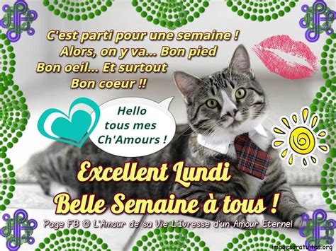 ᐅ bon lundi et bonne semaine humour Lundi imagesgratuites org