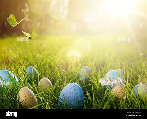 Easter Egg Grass Background