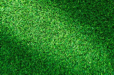 녹색 인공 잔디 골프 코스에 대 한 텍스처입니다 축구장 또는 스포츠 배경 컨셉 디자인 0명에 대한 스톡 사진 및 기타 이미지 0명 계절 골프 Istock