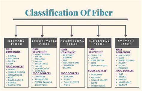 Structure Of Dietary Fiber At Sandra Moody Blog