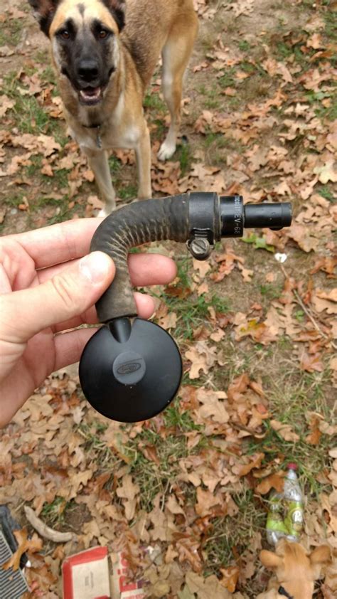 Fouled O2 Sensor Page 3 Ford Truck Enthusiasts Forums
