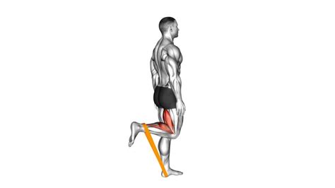 Resistance Band Leg Curl Male Video Exercise Guide And Tips Workout