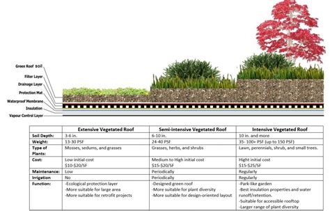 Green Roofs All You Need To Know Climatebiz