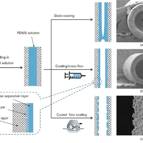 Pdf Polydimethylsiloxane Pdms Composite Membrane Fabricated On The Inner Surface Of A