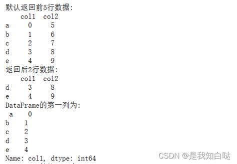 Pandas两种基本数据结构：series和dataframepandas Series和dataframe Csdn博客