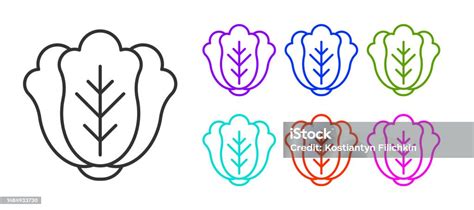 흰색 배경에 고립 된 검은 줄 신선한 양배추 야채 아이콘 다채로운 아이콘을 설정합니다 벡터 3차원 형태에 대한 스톡 벡터 아트