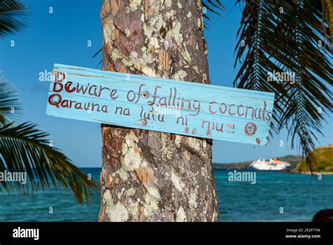 A Bilingual Sign On The Trunk Of A Palm Tree Warns Visitors Of Falling