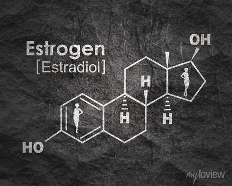 Chemical Molecular Formula Hormone Estrogen Infographics Illustration