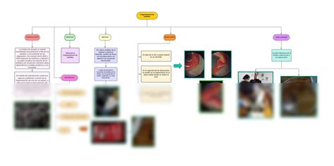 Solution Reproducci N Asexual Studypool