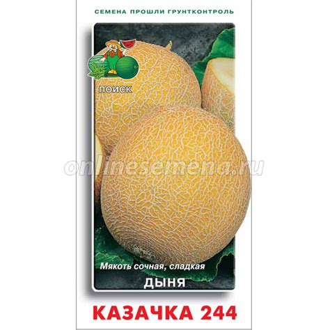Дыня Казачка 244' из каталога Семена овощей – купить с доставкой по ...