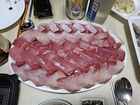 섹스 치지직 에펨코리아