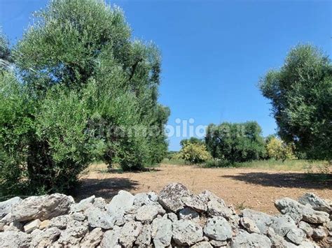 Terreno Edificabile San Vito Dei Normanni Rif 97950868 Immobiliare It