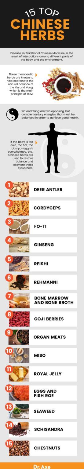 Best Chinese Herbs To Improve Health And Lower Disease Risk Dr Axe