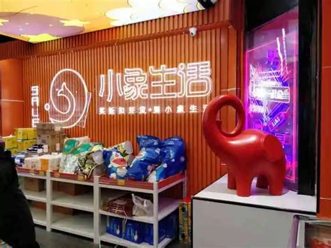 小象生活折扣超市加盟费多少钱小象生活折扣超市加盟费低至161万元小象生活折扣超市加盟怎么样小象生活折扣超市加盟发展如何呢？加盟星百度