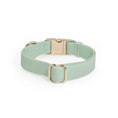 Collier Pour Chien Waterproof Shop Sunny Tails Pistache The Wouf
