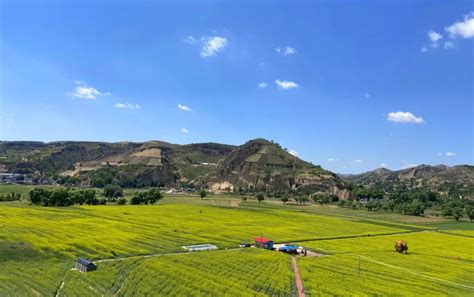 陕西 子洲县：农旅融合 融出振兴之美中国农科新闻网