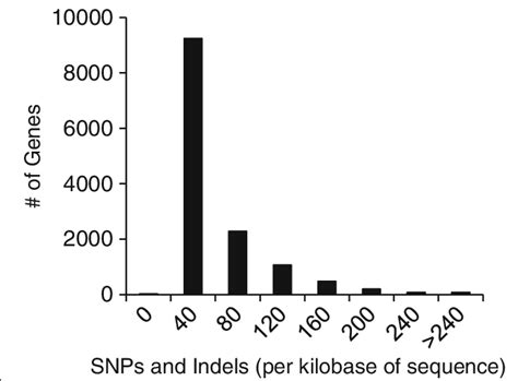 sequence variability within common genes only 163 genes contain