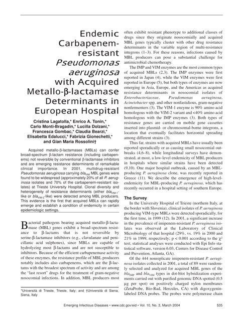 Pdf Endemic Carbapenem Resistant Pseudomonas Aeruginosa With Acquired