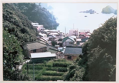 山崩壊 地区埋めた土砂 記憶つなぐ 遺族の決意【伊豆半島沖地震50年 教訓 後世へ㊤】｜あなたの静岡新聞