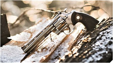 New For 2020 The Colt Python Is BACK In 6 4 25 Inch Stainless Models