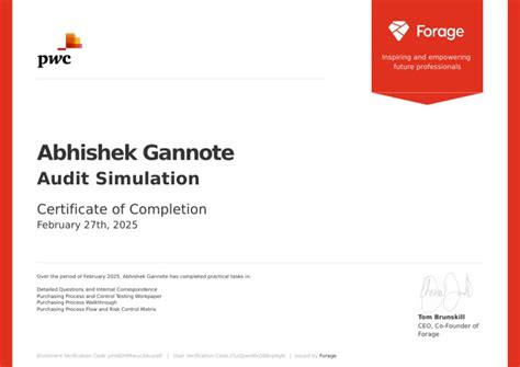 Audit Pwc Pdf