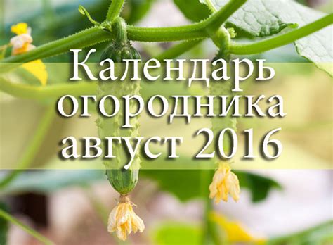 Лунный календарь посадки Женский онлайн журнал о вязании кулинарии и