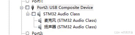 Stm32 Usb Audio系列 （二） 48k采样率 2进2出 16bit 扬声器麦克风stm32 Usb 麦克风 Csdn博客