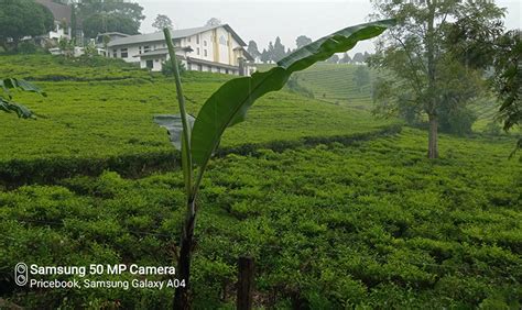 Review Samsung Galaxy A04 Hp 1 Jutaan Fitur 3 Jutaan Pricebook