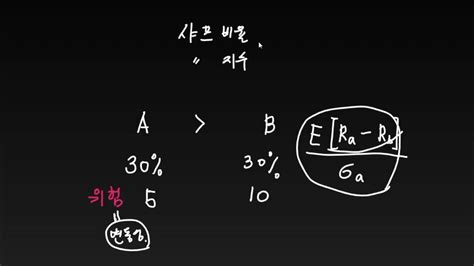 파이썬으로 퀀드투자 기초19 샤프비율 샤프지수 Youtube