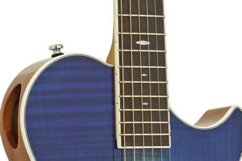 APE-100 - Aria Guitars - Electric, Acoustic, Classical Guitars and Bass