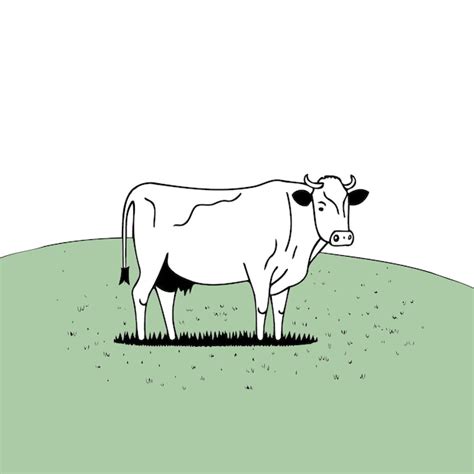 Premium Vector Farm Animal An Adult Big Cow