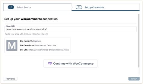 WooCommerce Connection BlinkMetrics