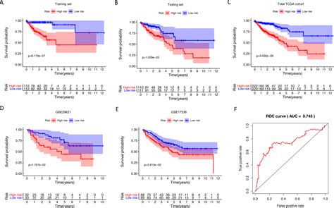 Construction Of An Immune Related Signature With Prognostic Value For