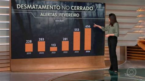 Vídeo Cerrado Bate Recorde De área Com Alertas De Desmatamento Para
