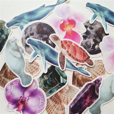Manta Ray Sticker Stingray Sticker Ocean Sticker Vinyl Etsy